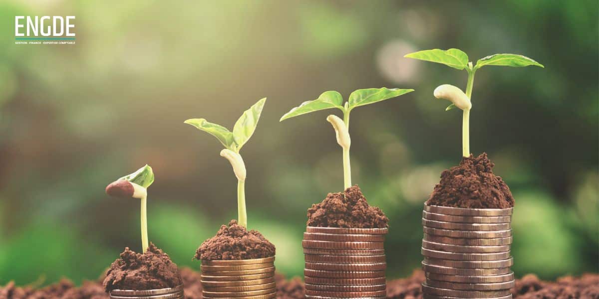 La comptabilité verte : un levier pour une entreprise plus durable